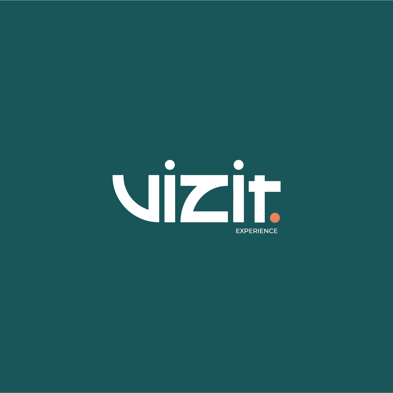 Function: Login | Vizit